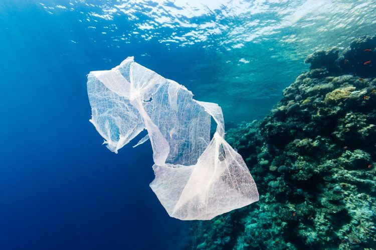 A Plastic Ocean: Behind the Scenes Photography | Frontline Club
